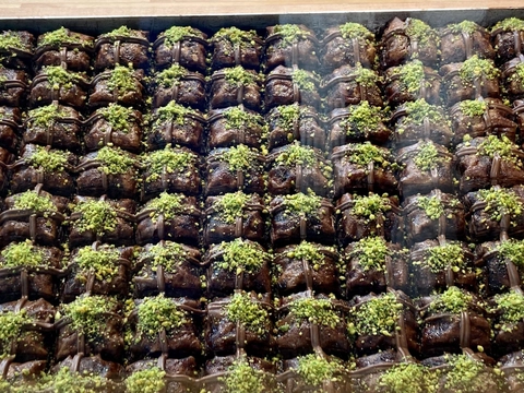 Made Hamilton Reviews & Photos of shops