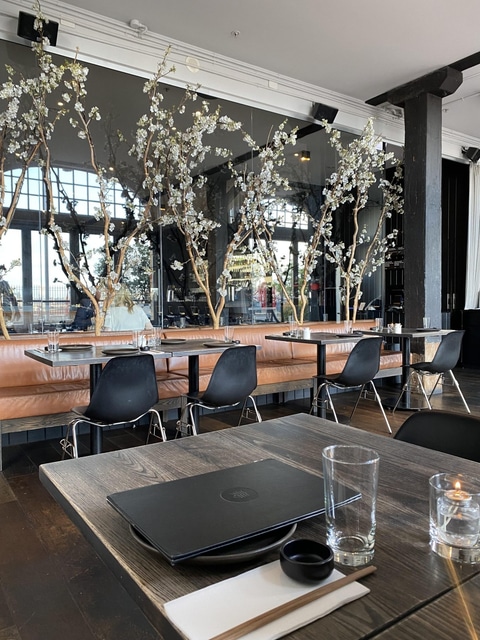 Ebisu Restaurant Auckand - Menu, Reviews & Photos