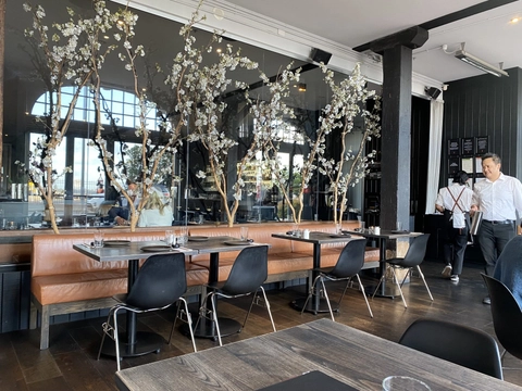 Ebisu Restaurant Auckand - Menu, Reviews & Photos